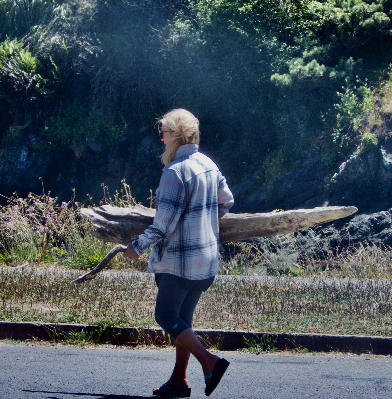 Where Did That Driftwood Come From? Take Home World‑Traveling Wood and ...